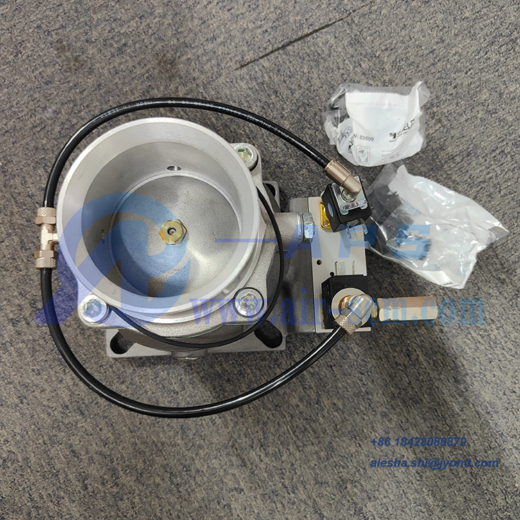 Compair Original Intake Valve ZS1061095 - Shanghai APS International ...